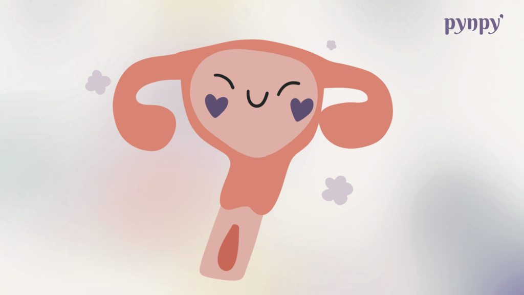 อวัยวะเพศหญิง มีทั้งจิ๋มนอกและจิ๋มใน จิ๋มตรงไหนแยกให้ถูก - Pynpy'